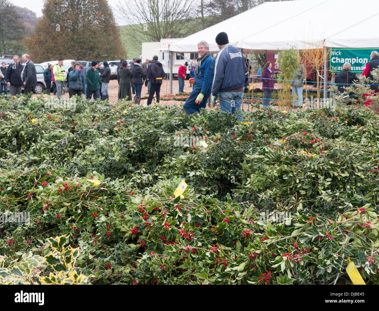 Tenbury Wells, Worcestershire, UK, 26th November 2013. Annual UK ...