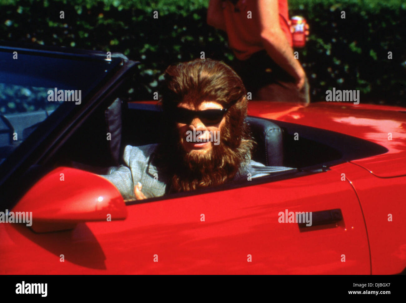 TEEN WOLF TOO (1987) TEEN WOLF 2 (ALT) JASON BATEMAN, CHRISTOPHER ...