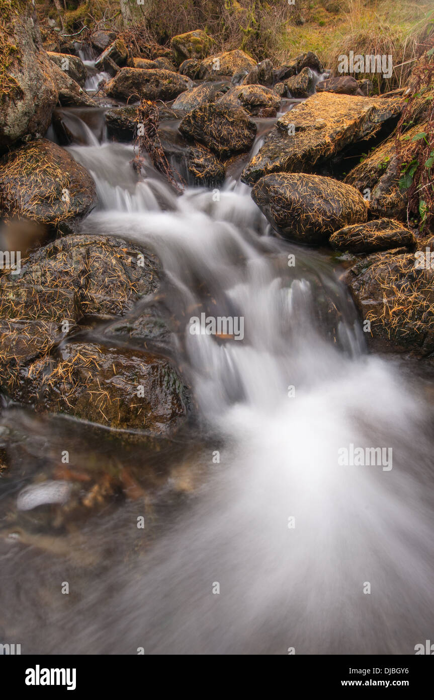 Autumn stream near Rydal Water in the English Lake District Stock Photo ...