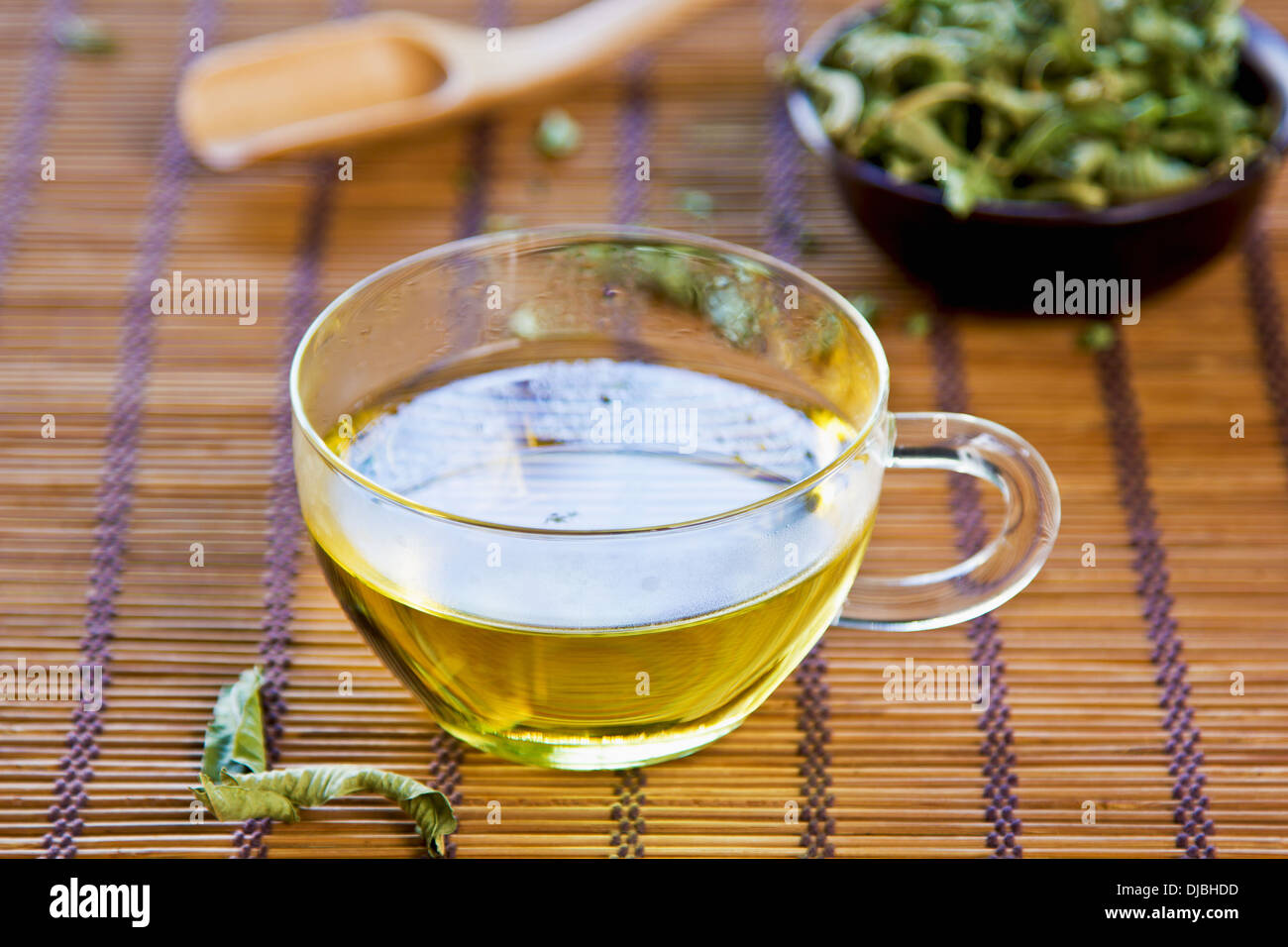 Verveine Tea also known as Lemon Verbena Stock Photo - Alamy