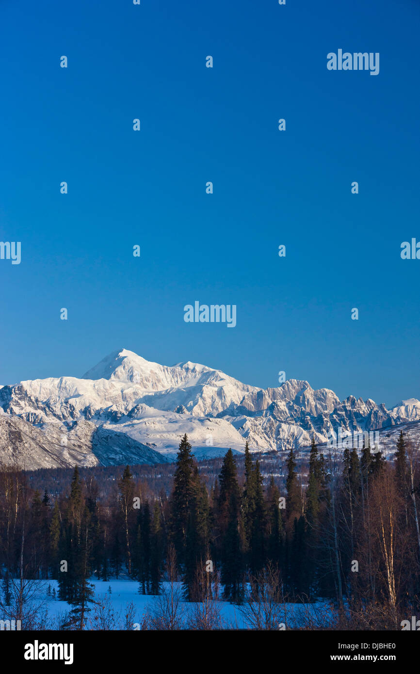 Denali south viewpoint hi-res stock photography and images - Alamy