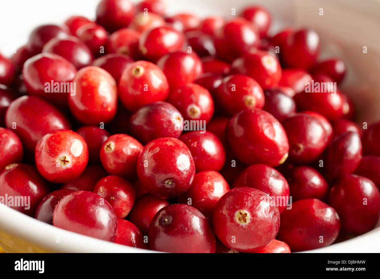 New jersey cranberries hi-res stock photography and images - Alamy