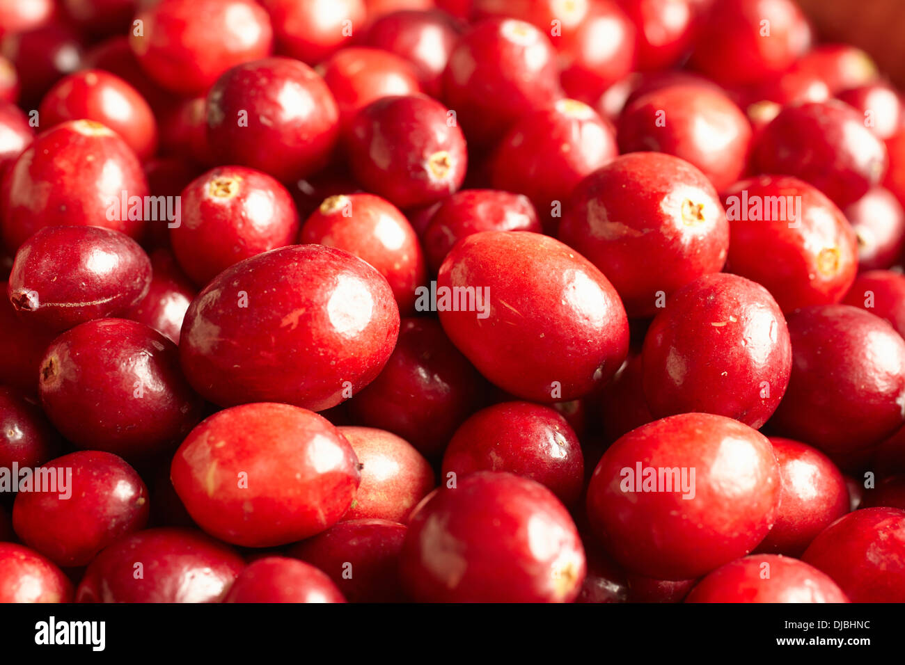 Regional and local hi-res stock photography and images - Alamy