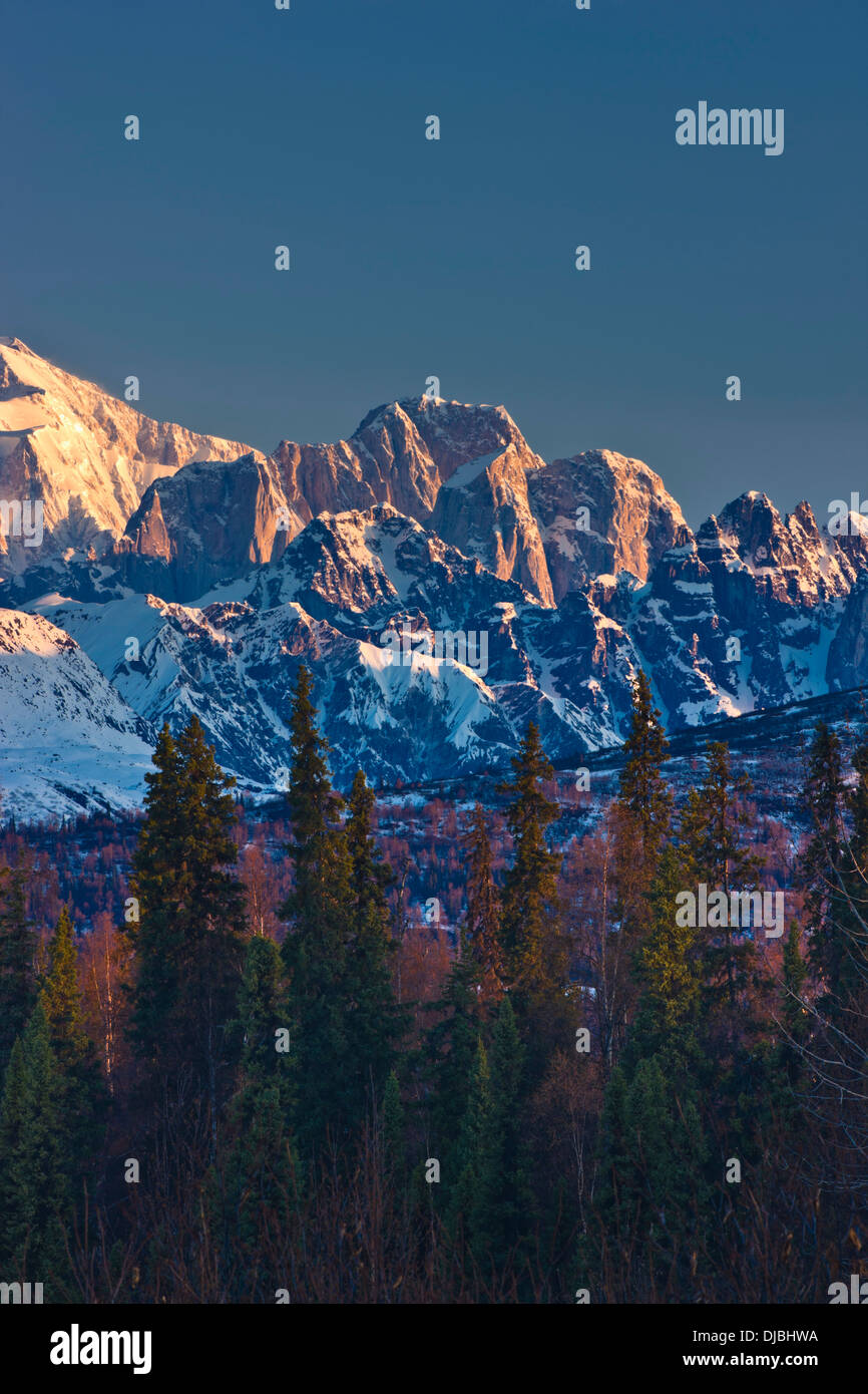Tooth pics hi-res stock photography and images - Alamy