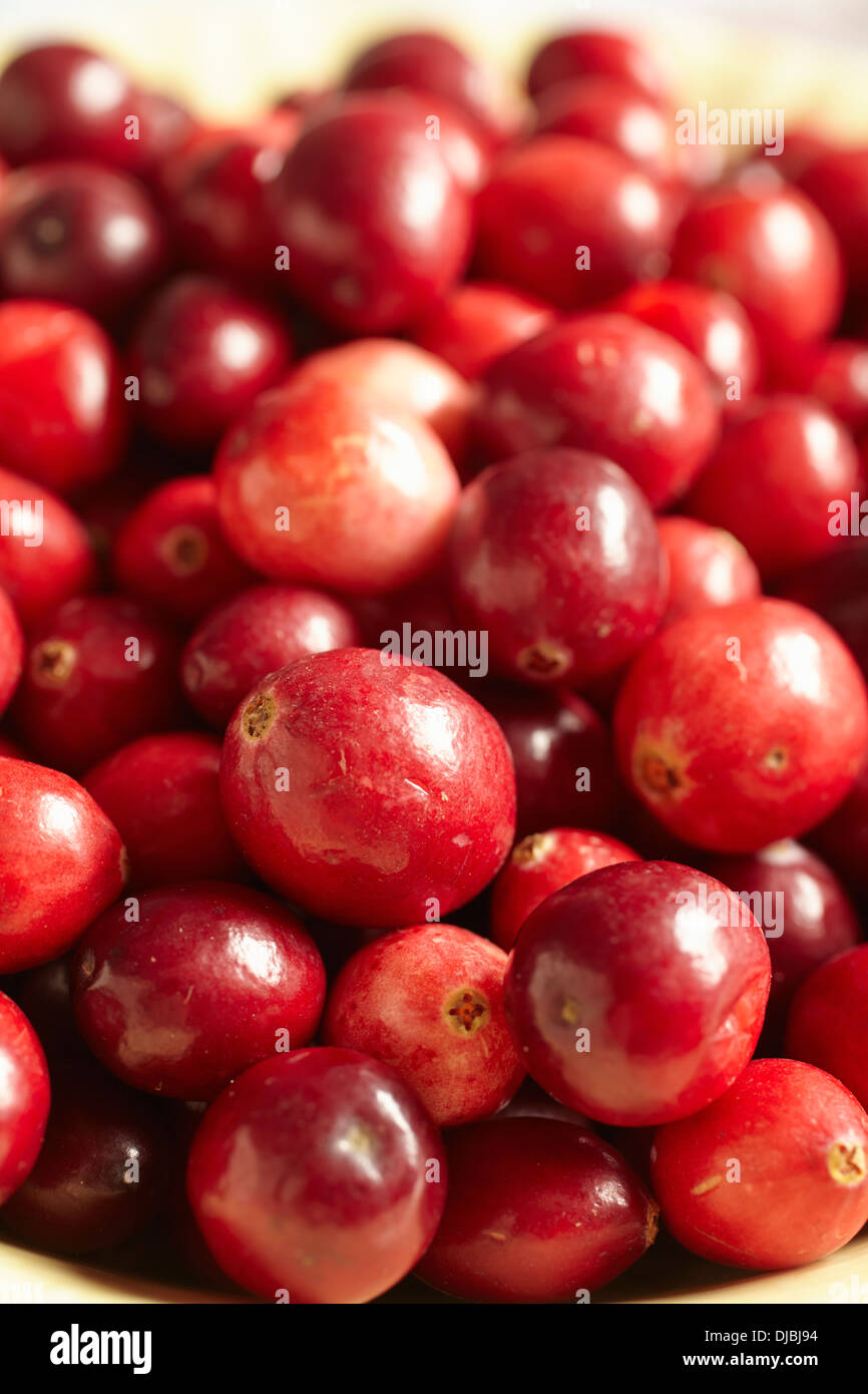 fresh, raw cranberries Stock Photo - Alamy