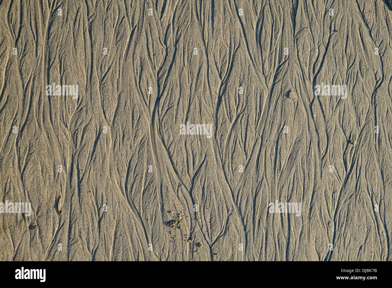 Tide marks on rocks hi-res stock photography and images - Alamy