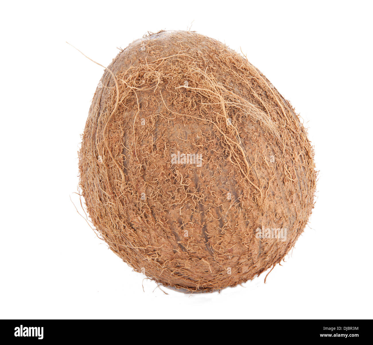 Whole coconut shell green hi-res stock photography and images - Alamy