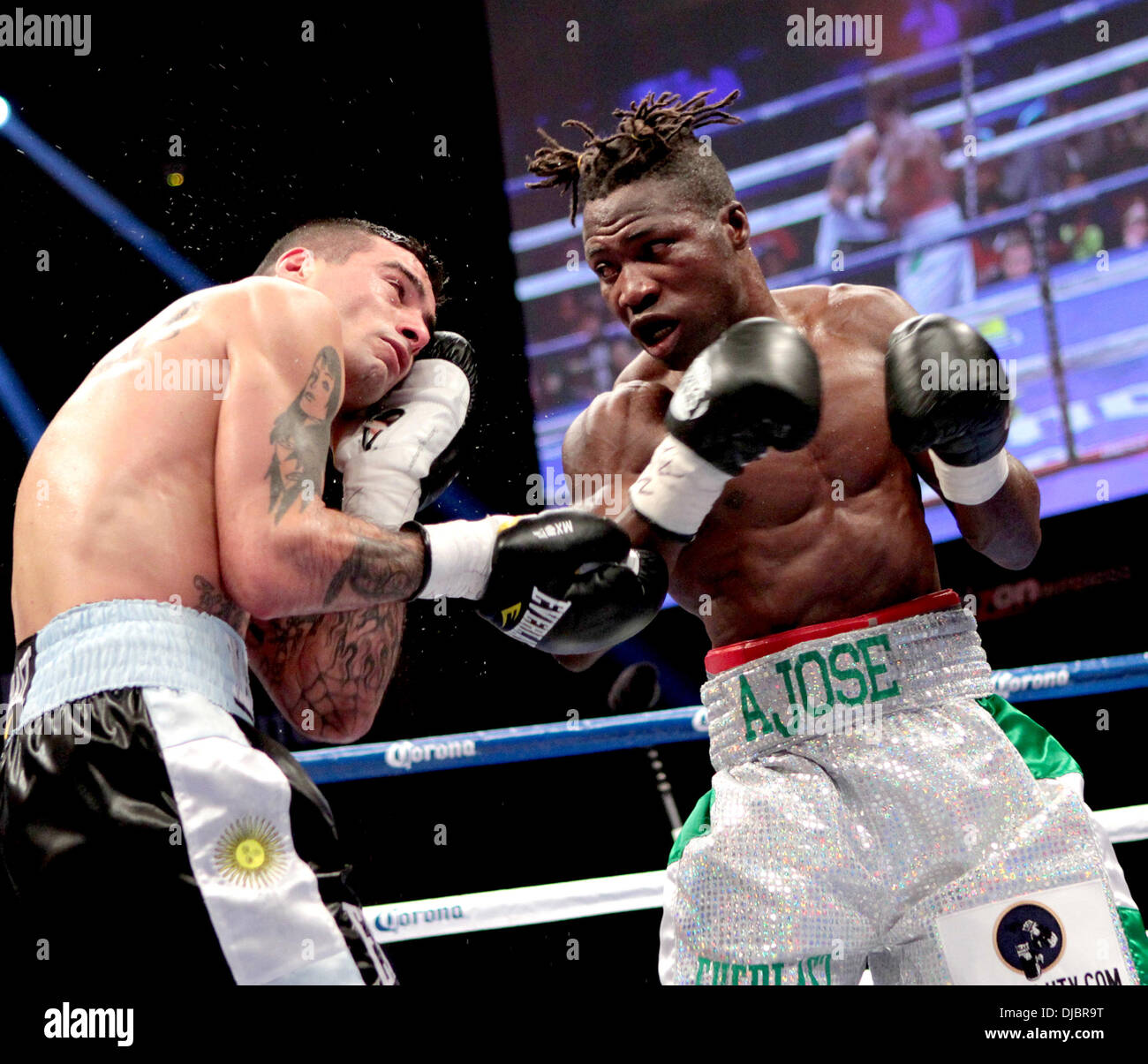 Lucas Matthysse Knockout