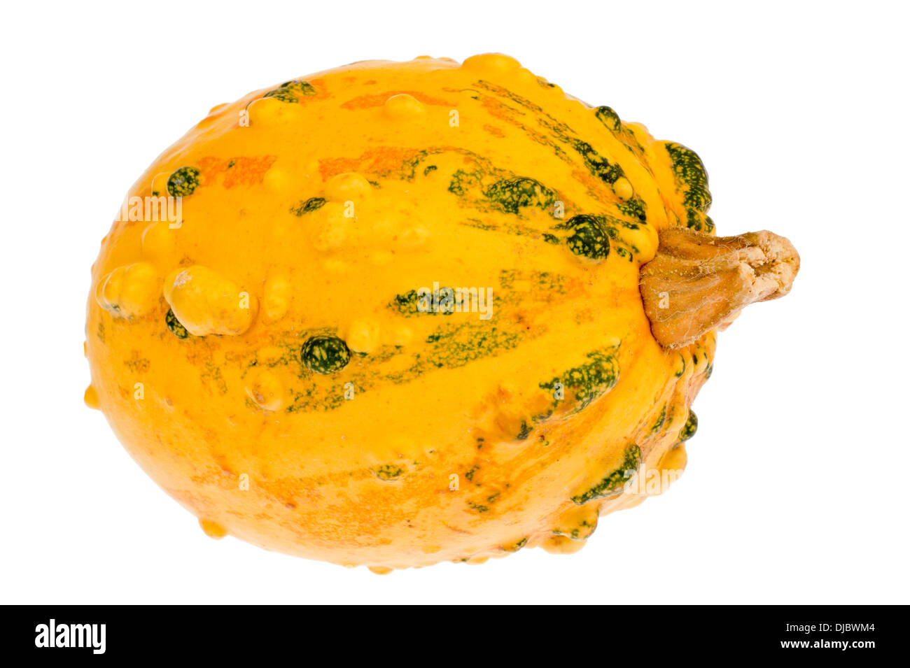 Chinese lantern fruit hi-res stock photography and images - Alamy