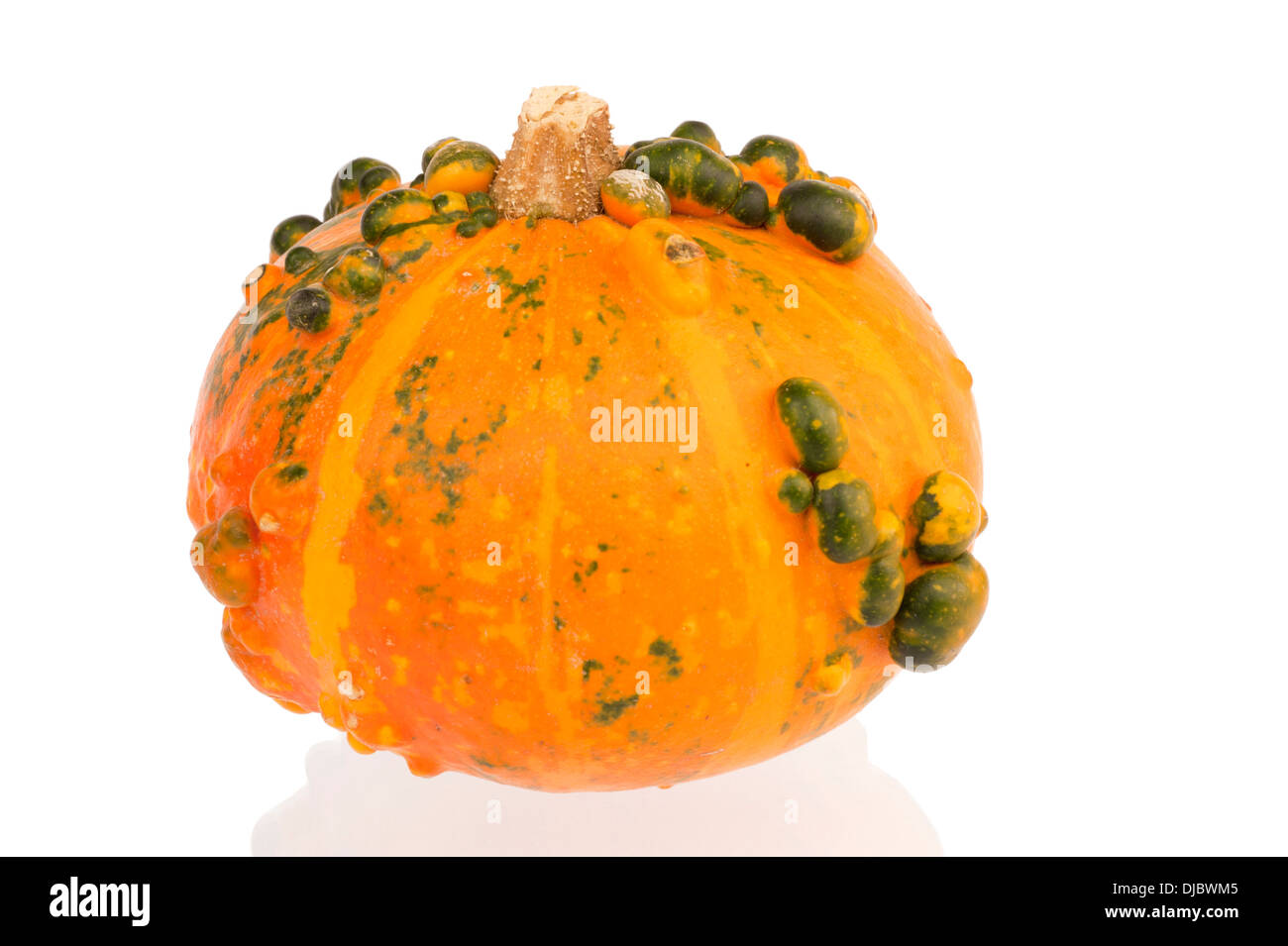 Chinese lantern fruit hi-res stock photography and images - Alamy