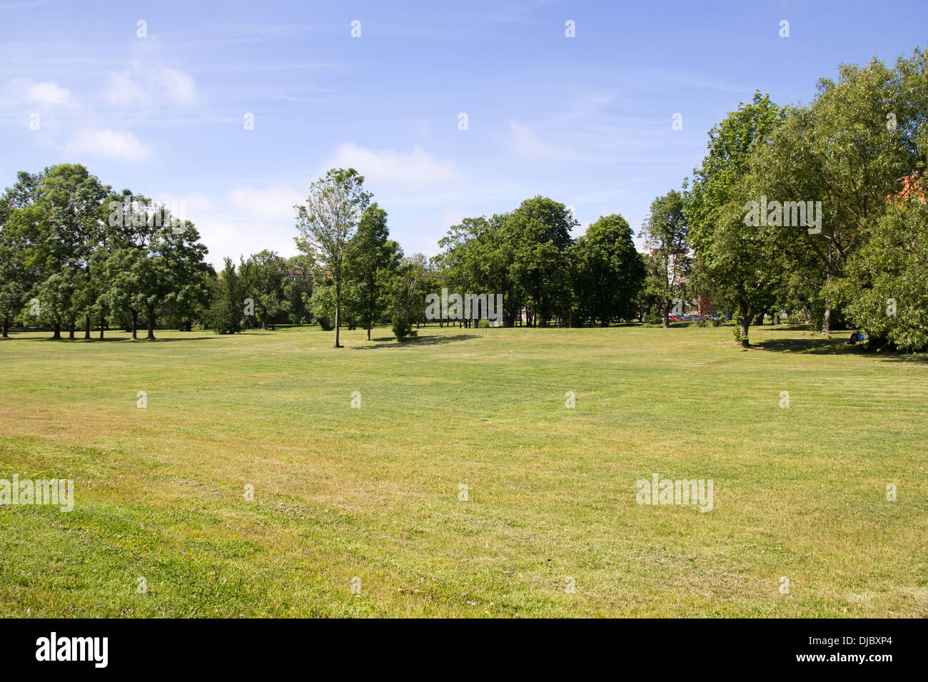 freshly mown lawn in the city park Stock Photo - Alamy