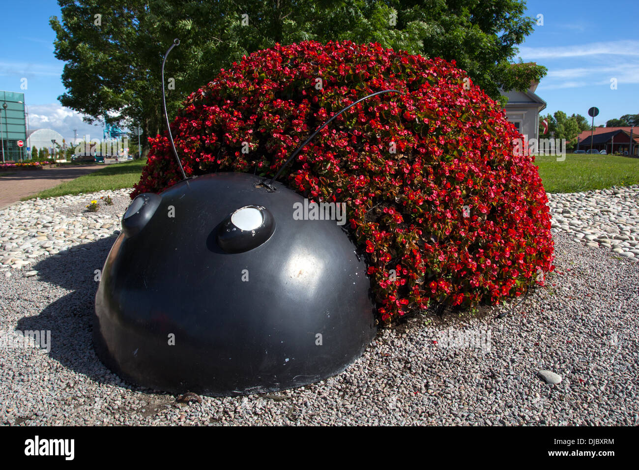 Big Ladybug High Resolution Stock Photography and Images - Alamy