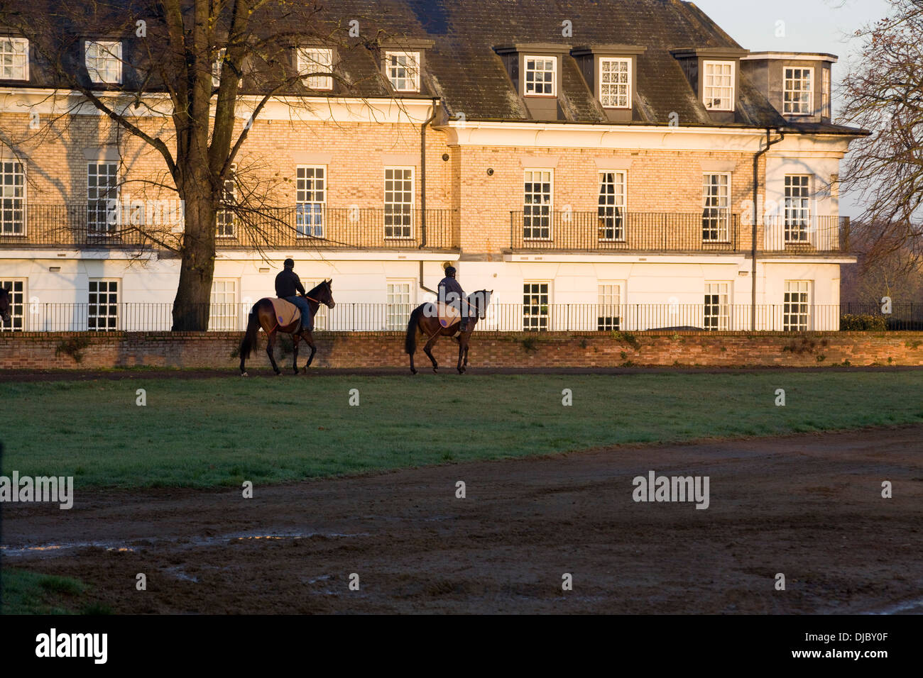 Newmarket training grounds hi-res stock photography and images - Alamy