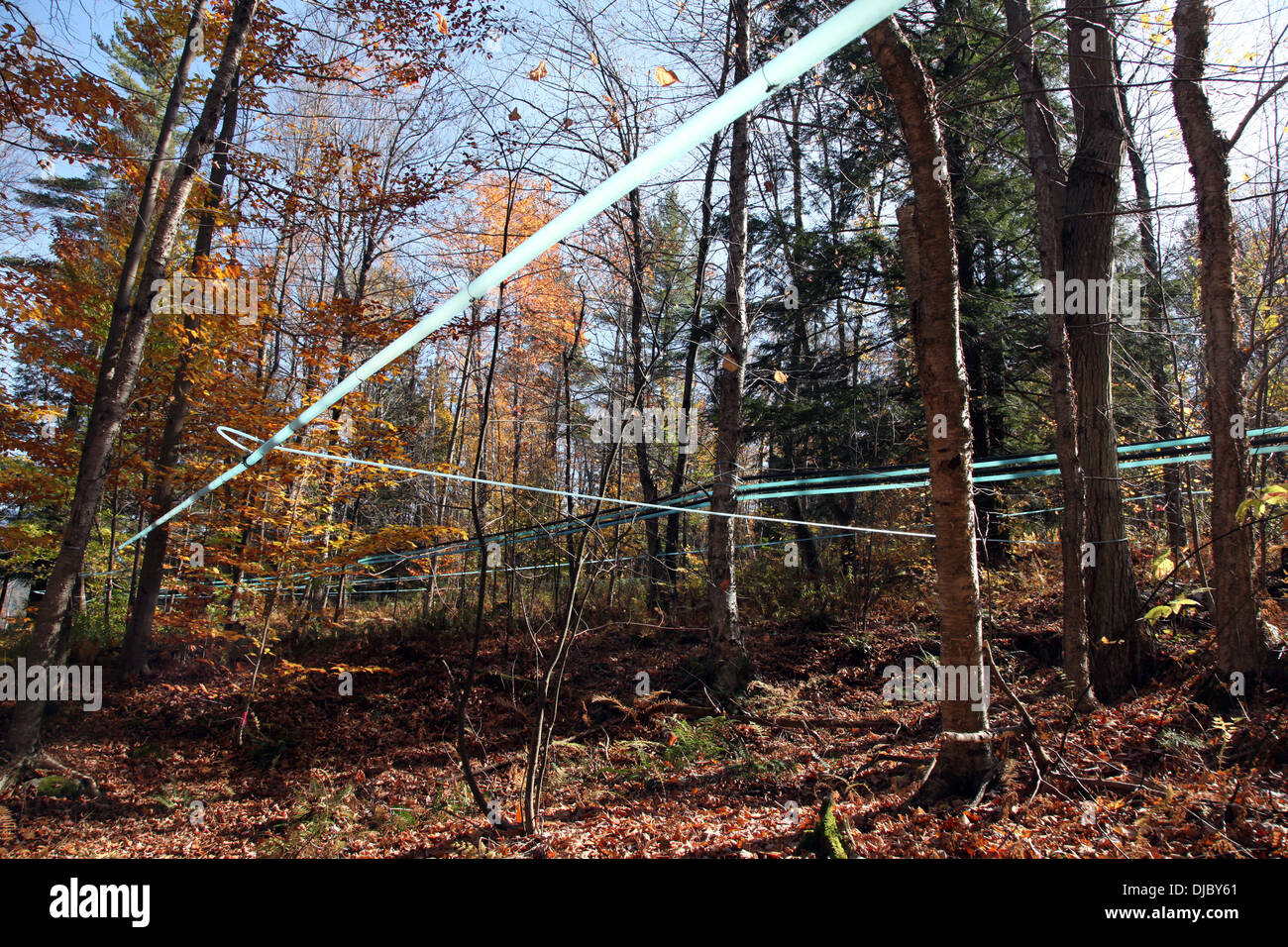 Collecting network hi-res stock photography and images - Alamy