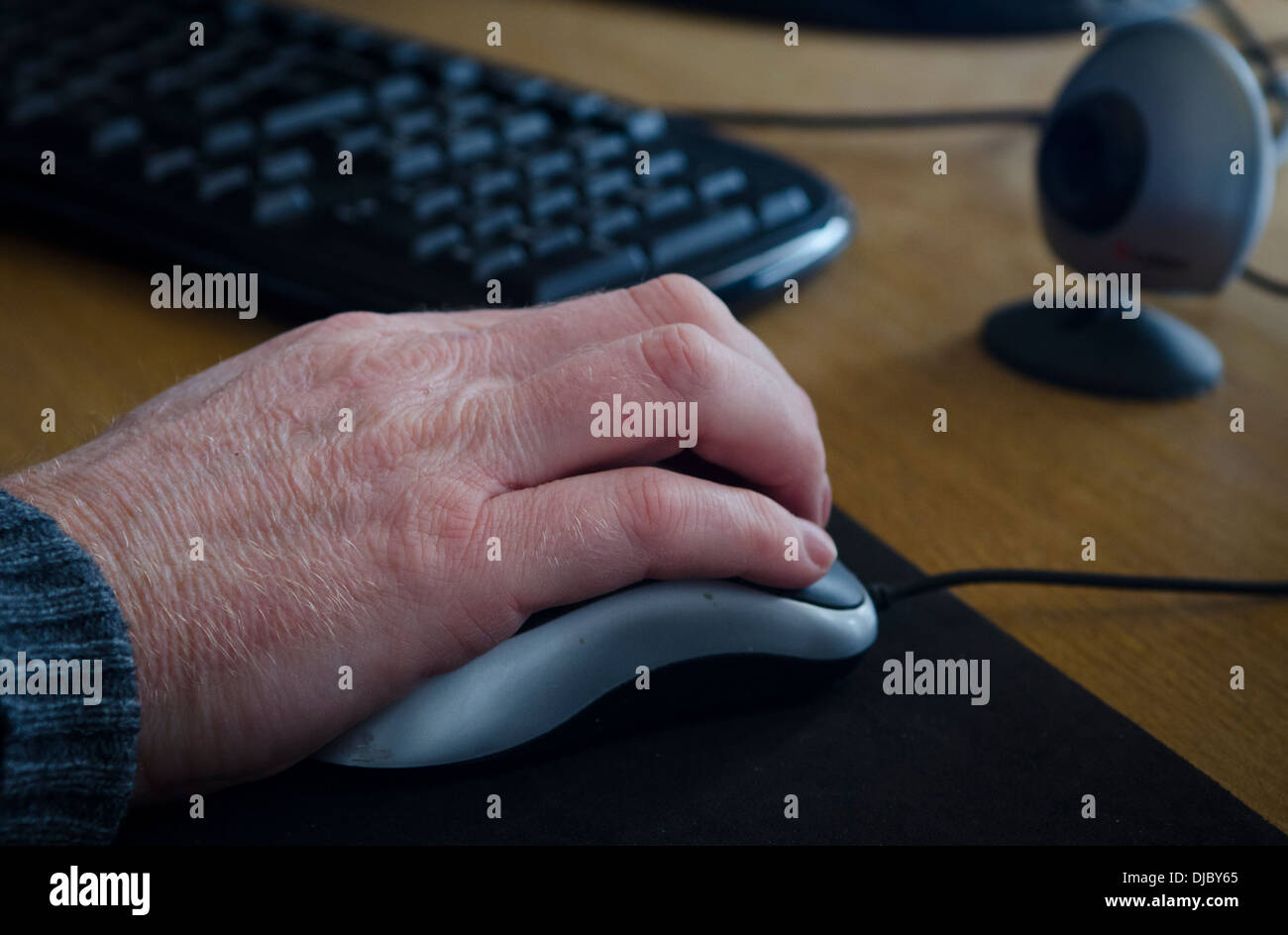 Mouse grooming hi-res stock photography and images - Alamy