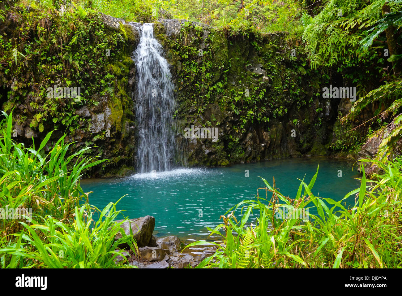 A small roadside waterfall and pool along Maui's Hana Highway Stock ...