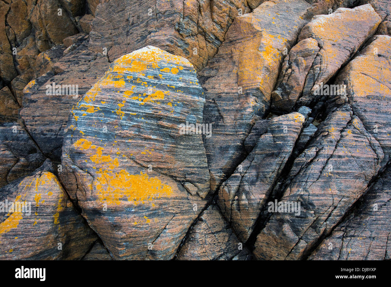 Lewisian Gneiss, some of the oldest rocks in the world at a small beach ...