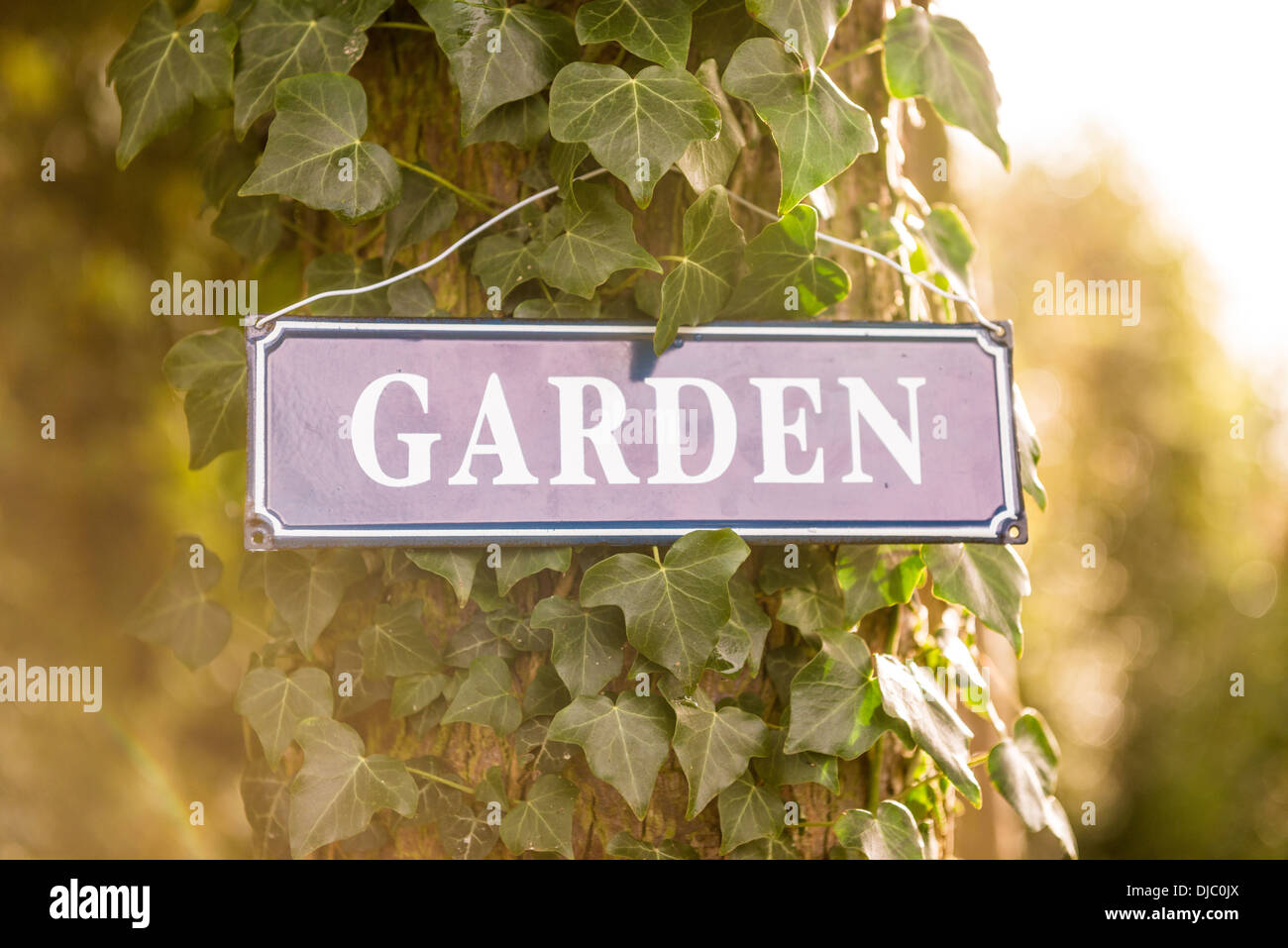 The ivy sign hi-res stock photography and images - Alamy