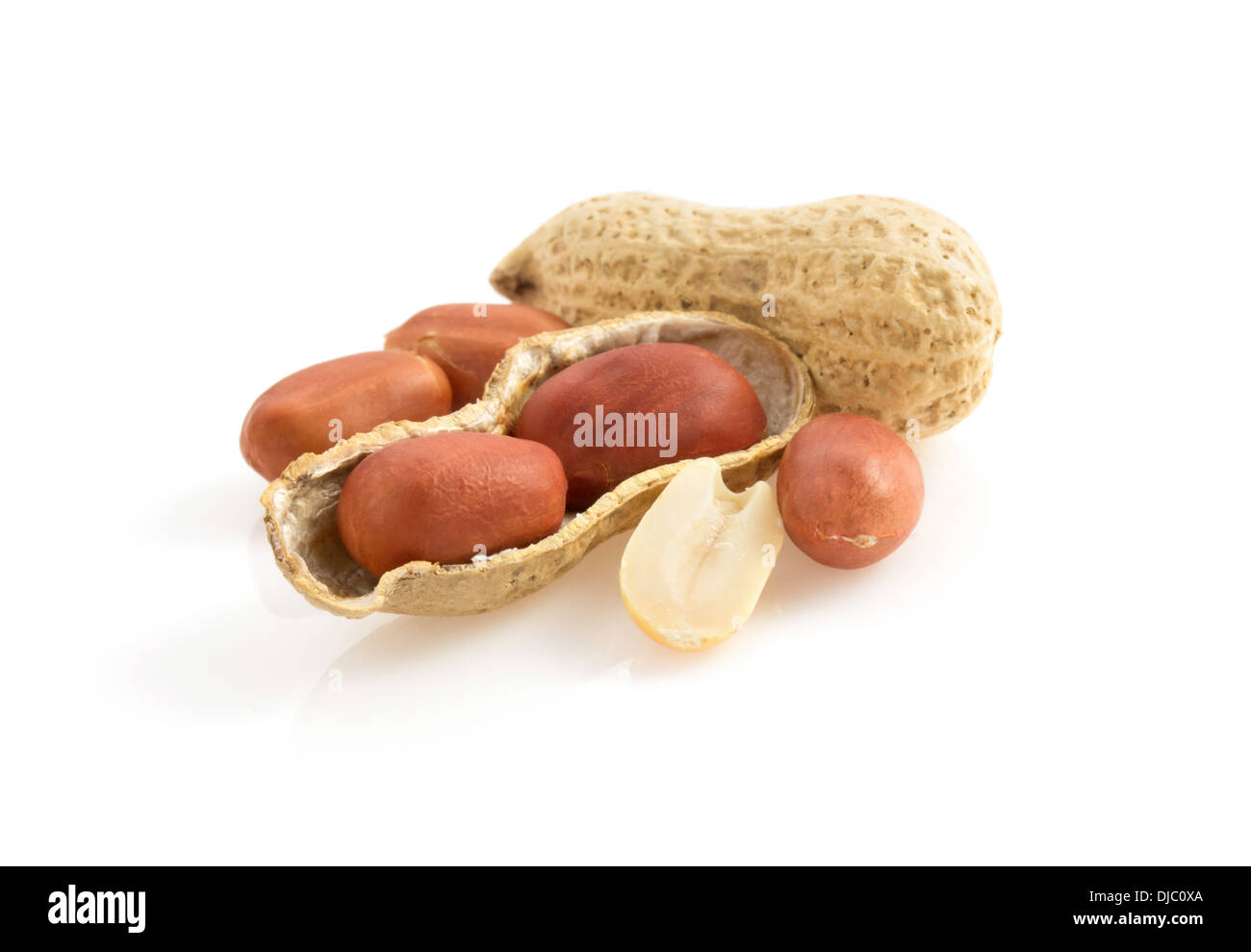nuts peanuts isolated on white background Stock Photo - Alamy