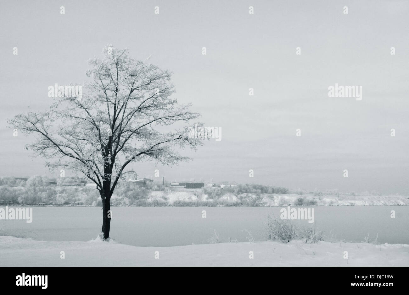 View with tree hi-res stock photography and images - Alamy