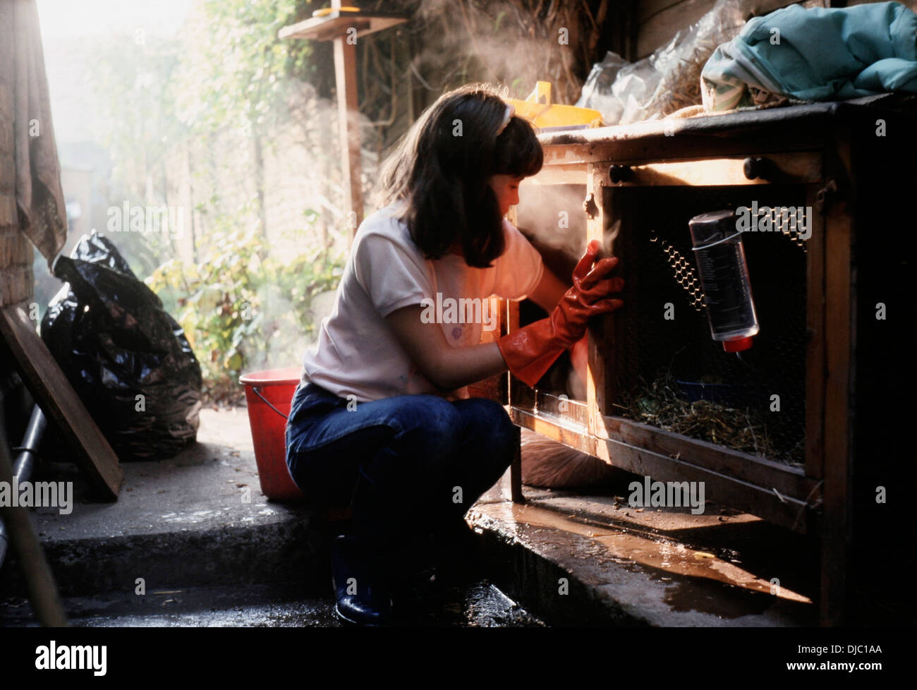 A young girl cleaning out her pet rabbit's hutch Stock Photo - Alamy