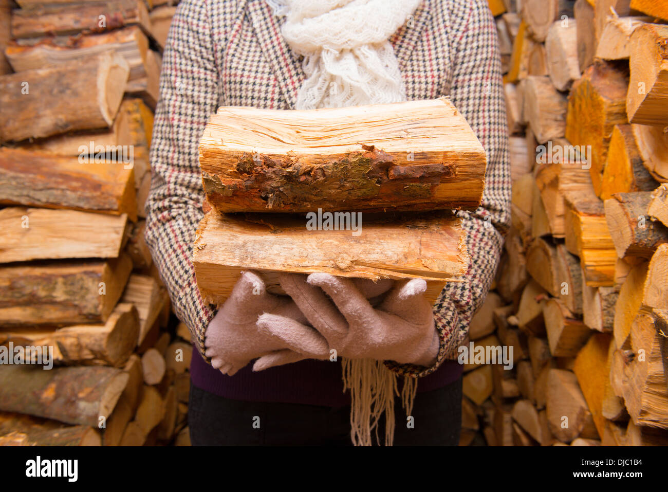 Fire wood collecting hi-res stock photography and images - Alamy