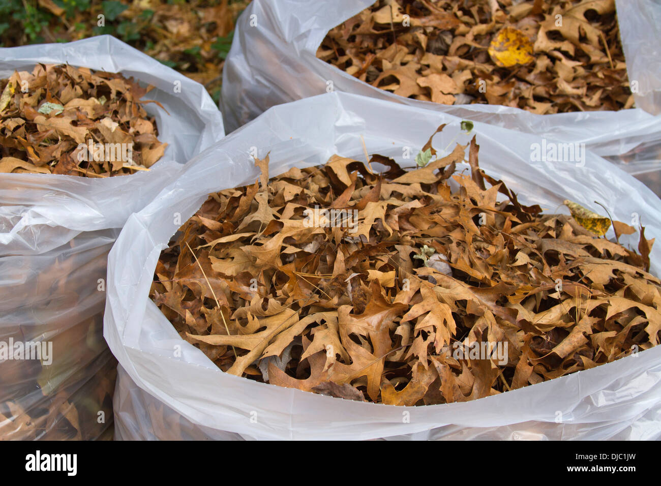 Overflowing plants hi-res stock photography and images - Alamy