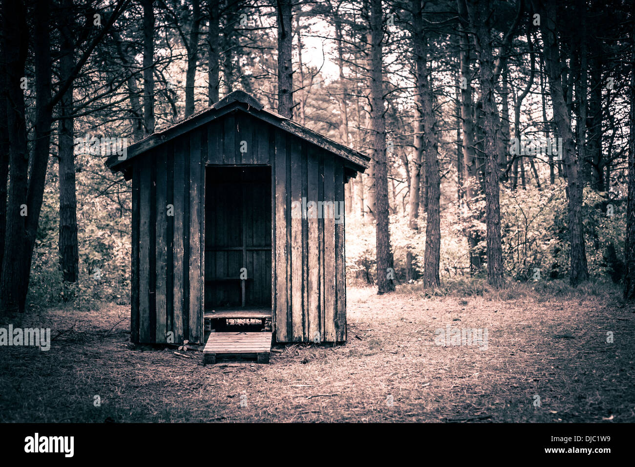 Spooky cabin in a dark and mysterious forest Stock Photo - Alamy