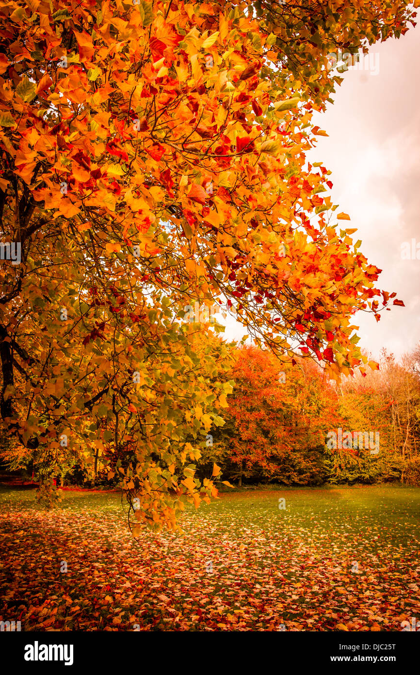 Warm season colors hi-res stock photography and images - Alamy