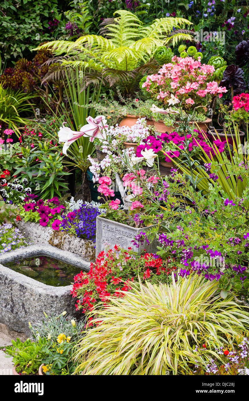 Small garden feature including variety of plants shapes types and ...