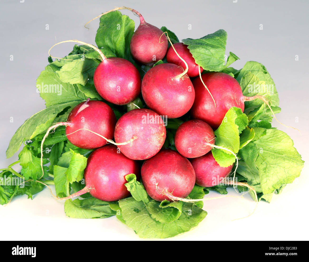 Radish root hi-res stock photography and images - Alamy
