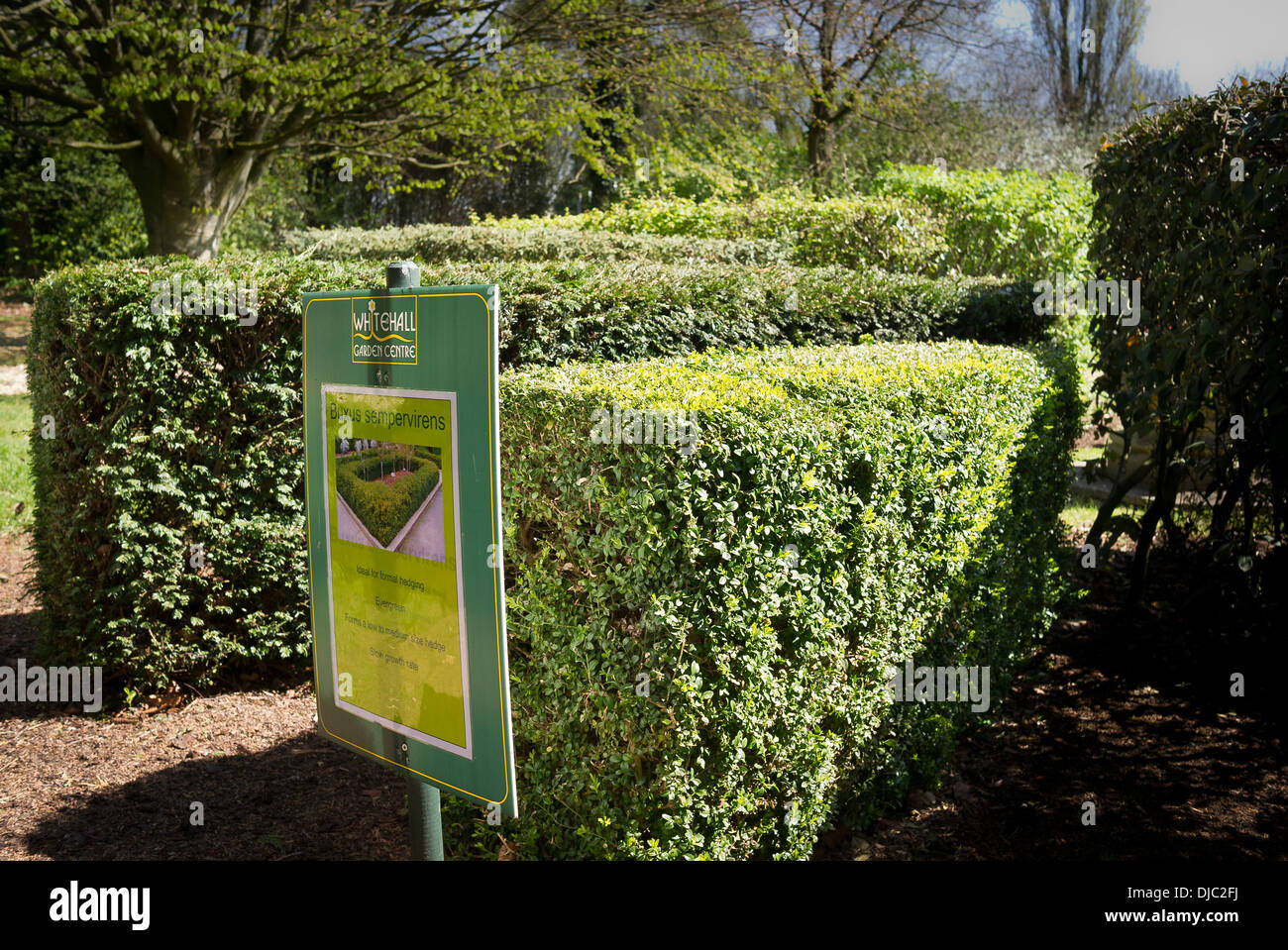 Hedge comparison hi-res stock photography and images - Alamy