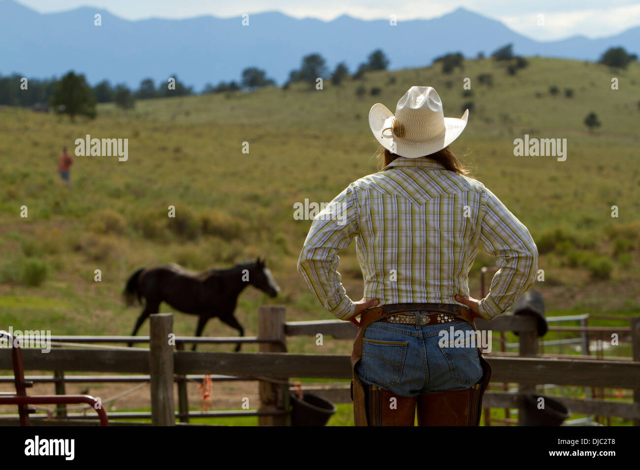 Cowgirl on the Ranch Stock Photo - Alamy
