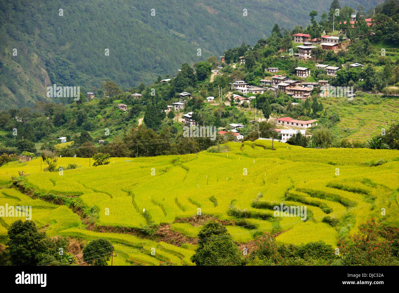 Bhutan snow covered hills hi-res stock photography and images - Alamy