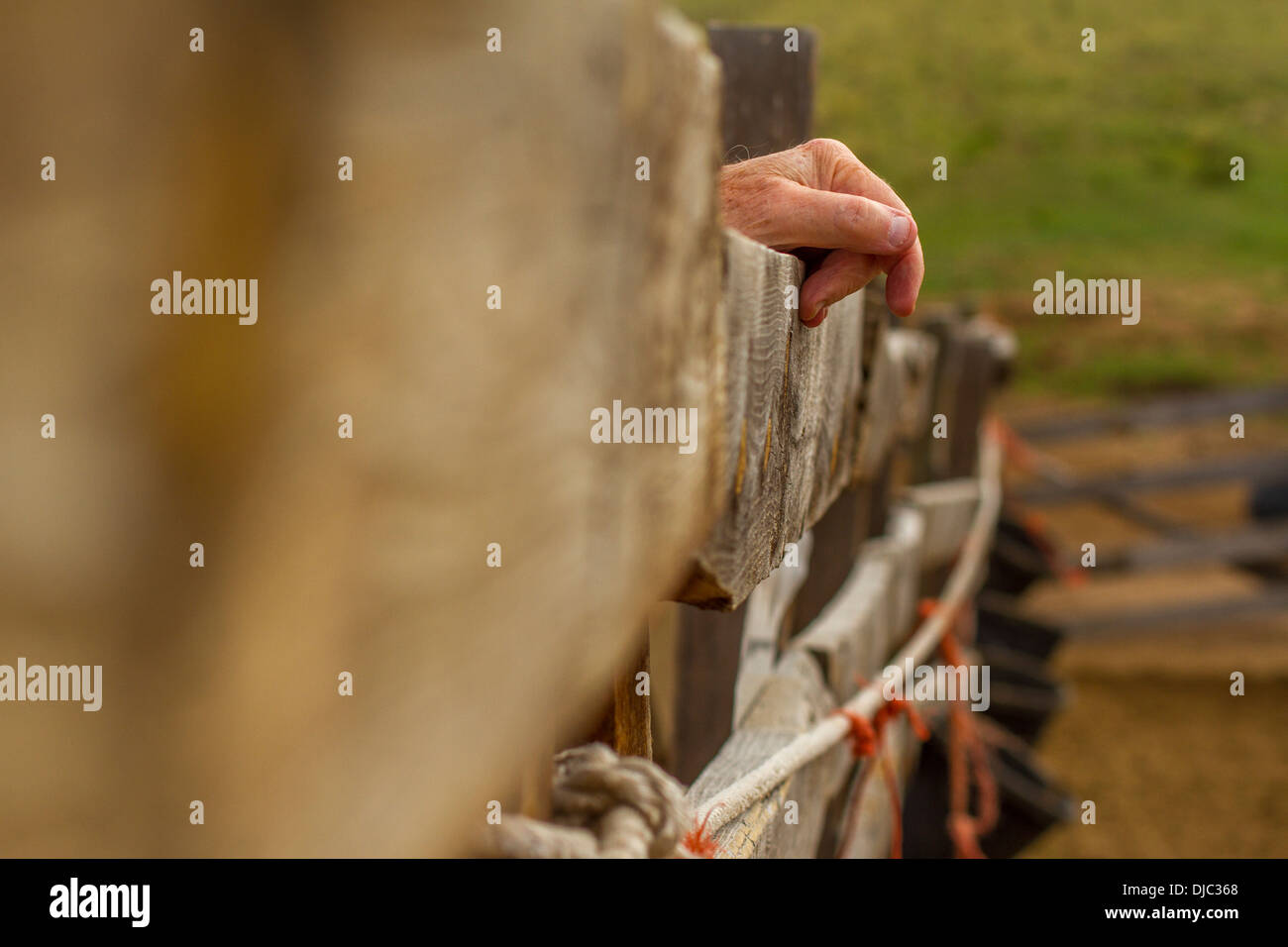 Hand on Corral Fence Stock Photo - Alamy