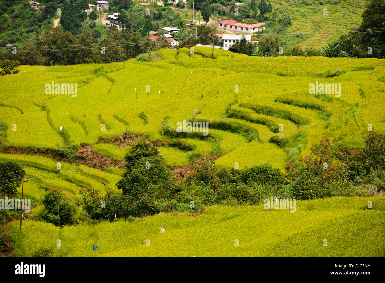 Bhutan snow covered hills hi-res stock photography and images - Alamy
