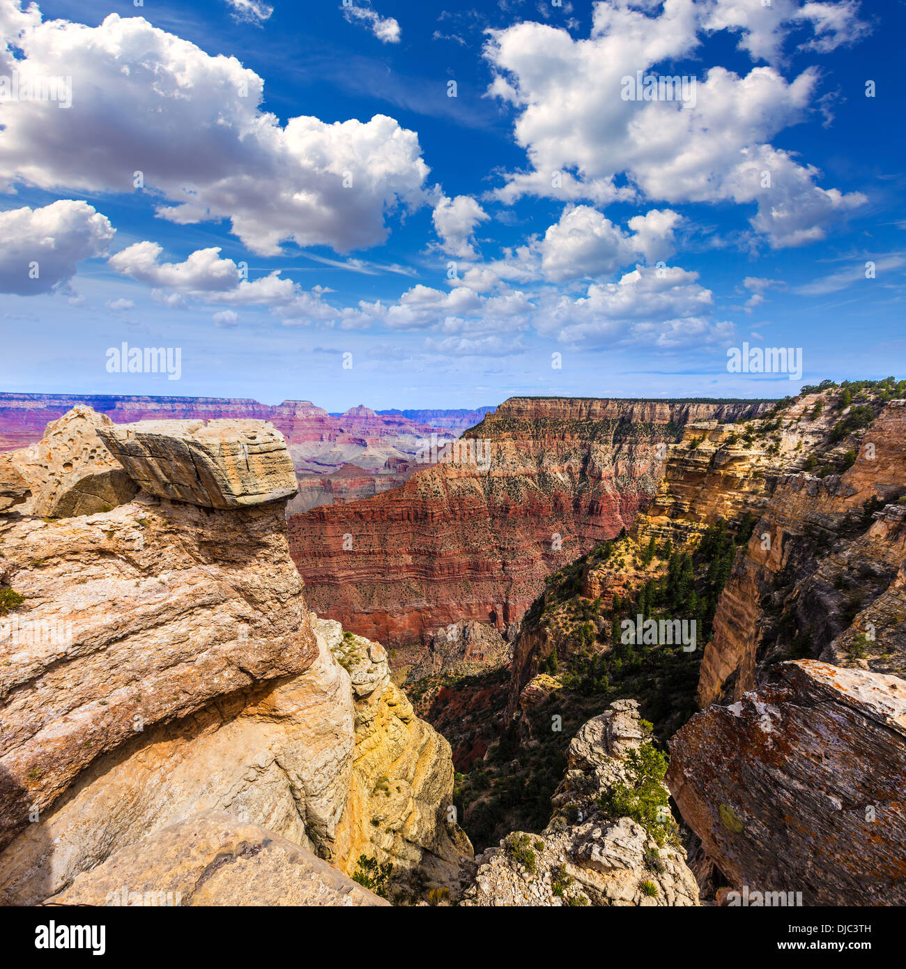 Arizona Grand Canyon National Park Mother Point and Amphitheater USA ...