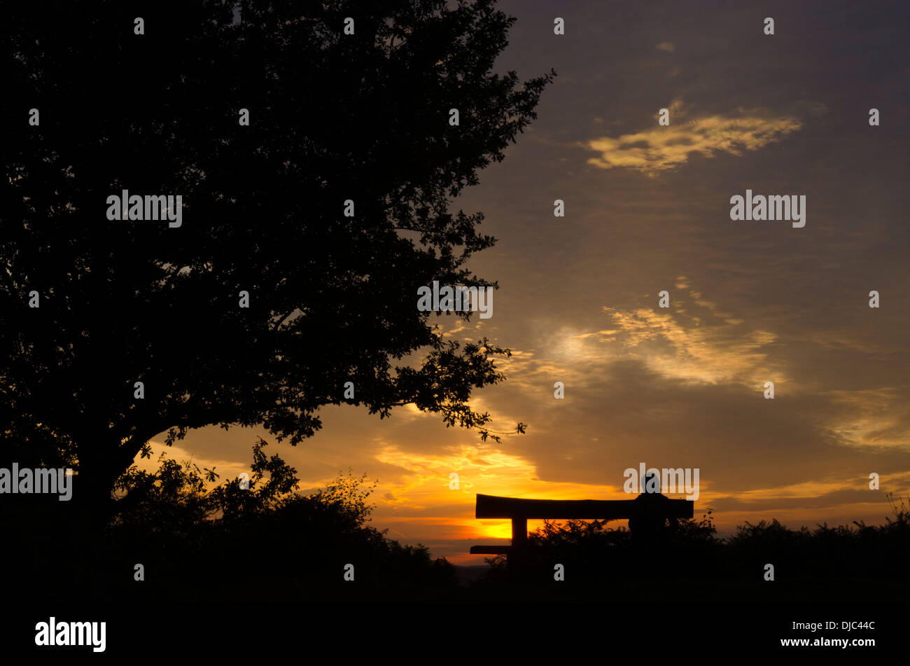 Older woman watching sunset hi-res stock photography and images - Alamy