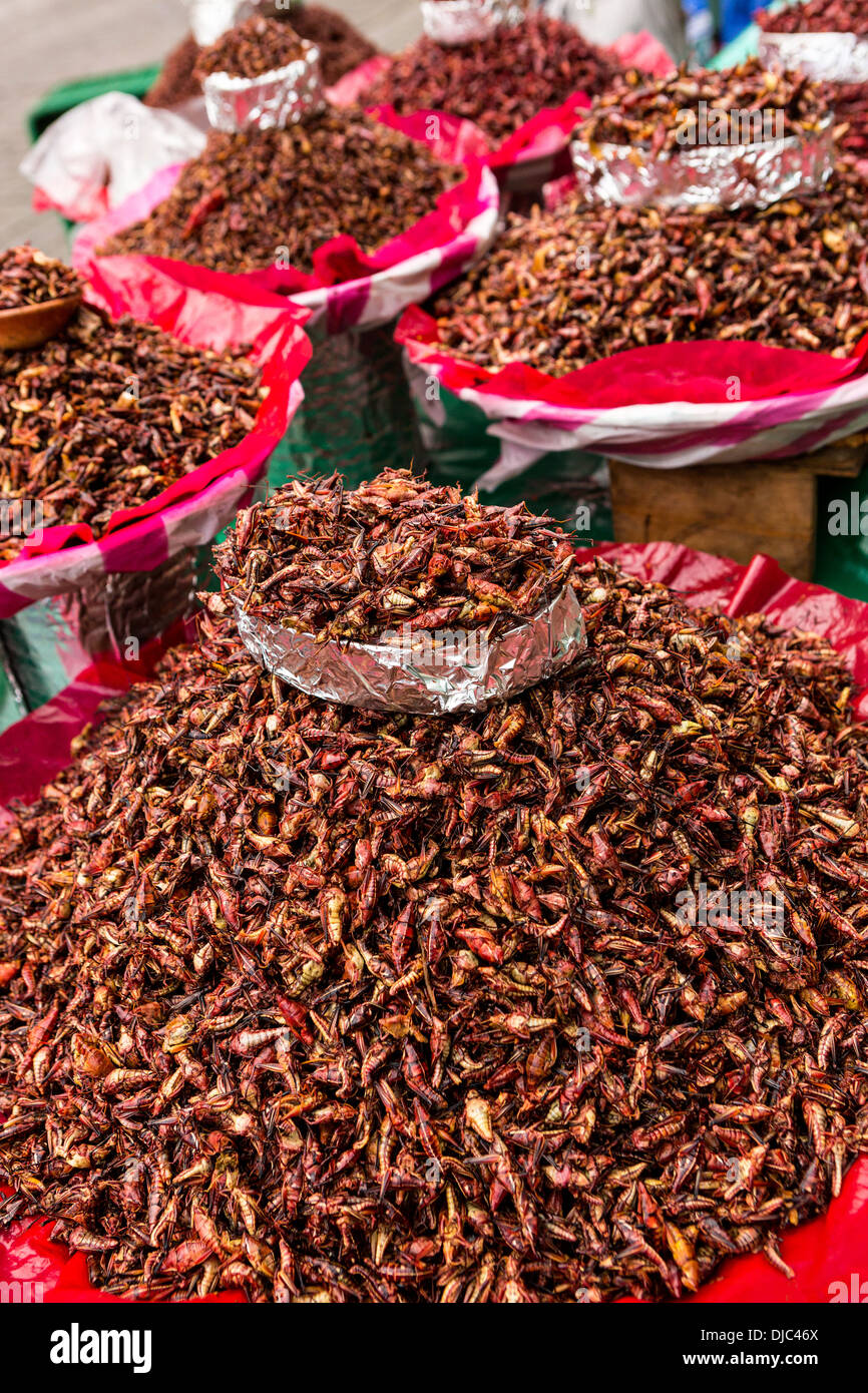 Chapulines Fritos