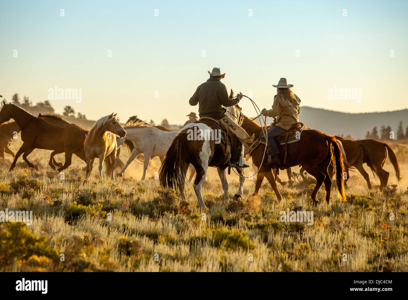 Wranglers hi-res stock photography and images - Alamy