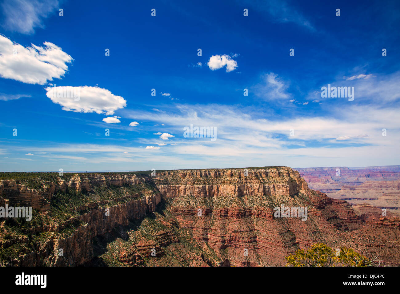 Arizona Grand Canyon National Park Yavapai Point USA Stock Photo - Alamy