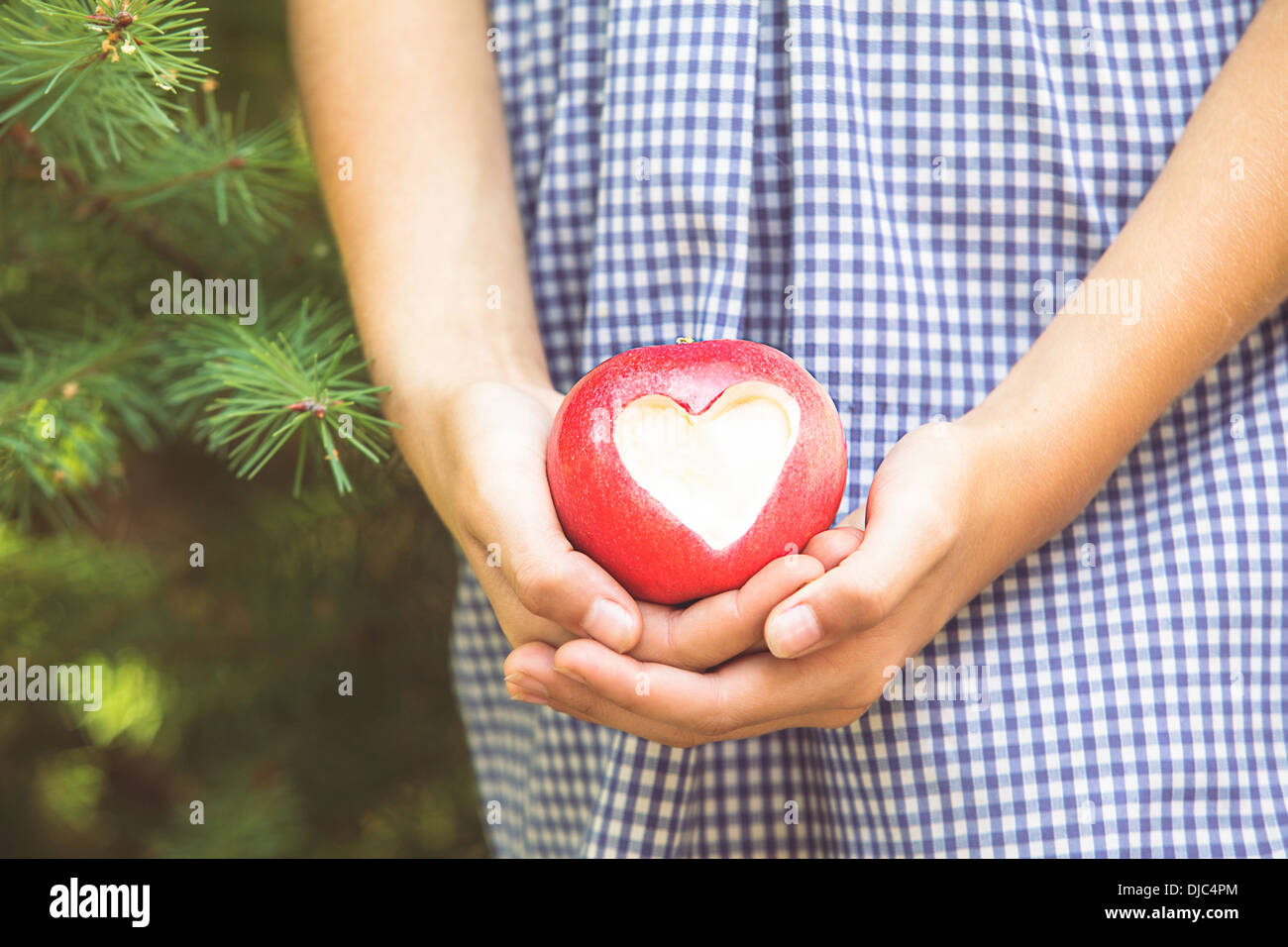 Red apple with heart shape - present of love Stock Photo - Alamy
