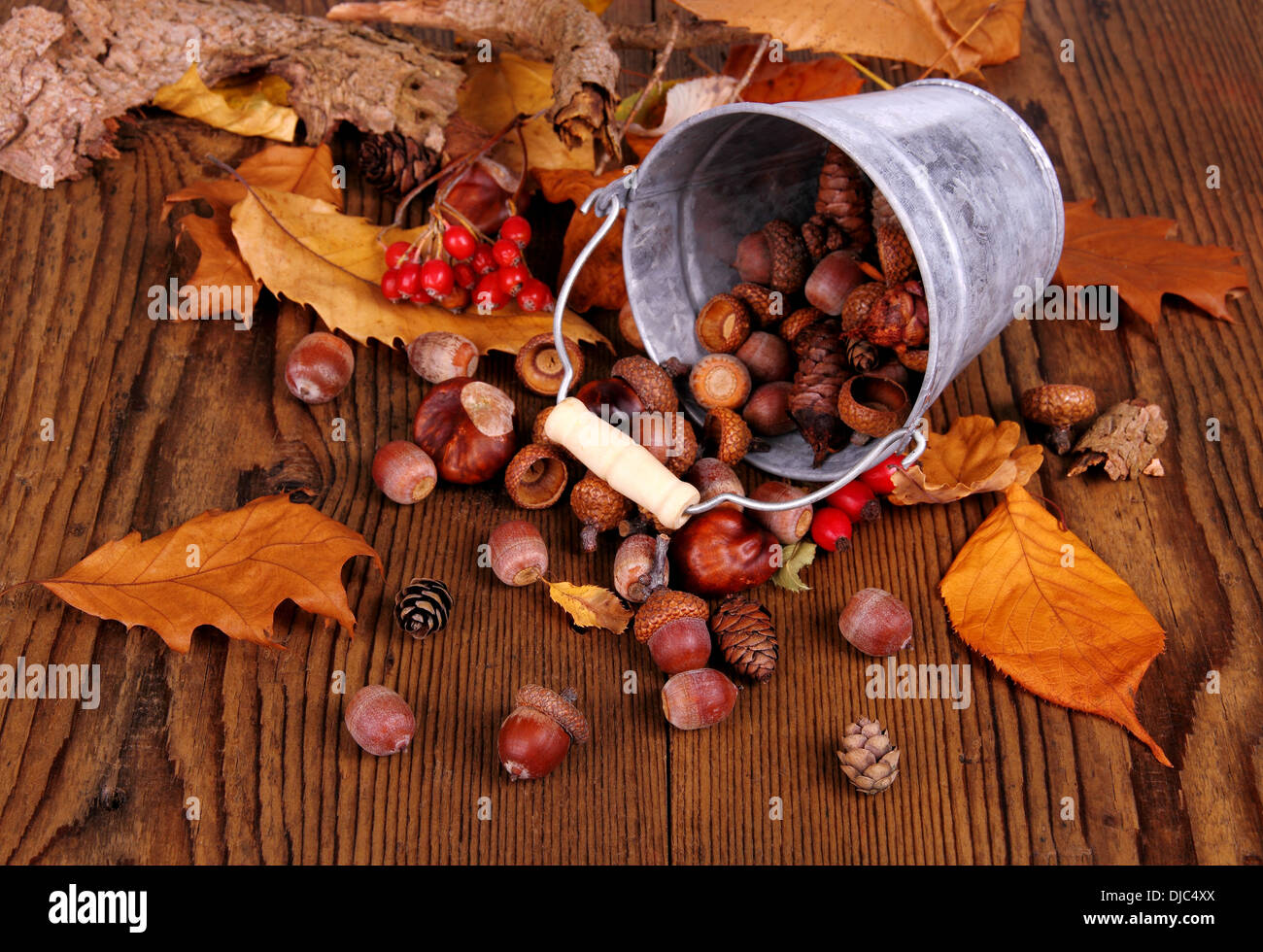 Zinc bucket with distributed acorn, chestnut and rosehip, horizontal ...