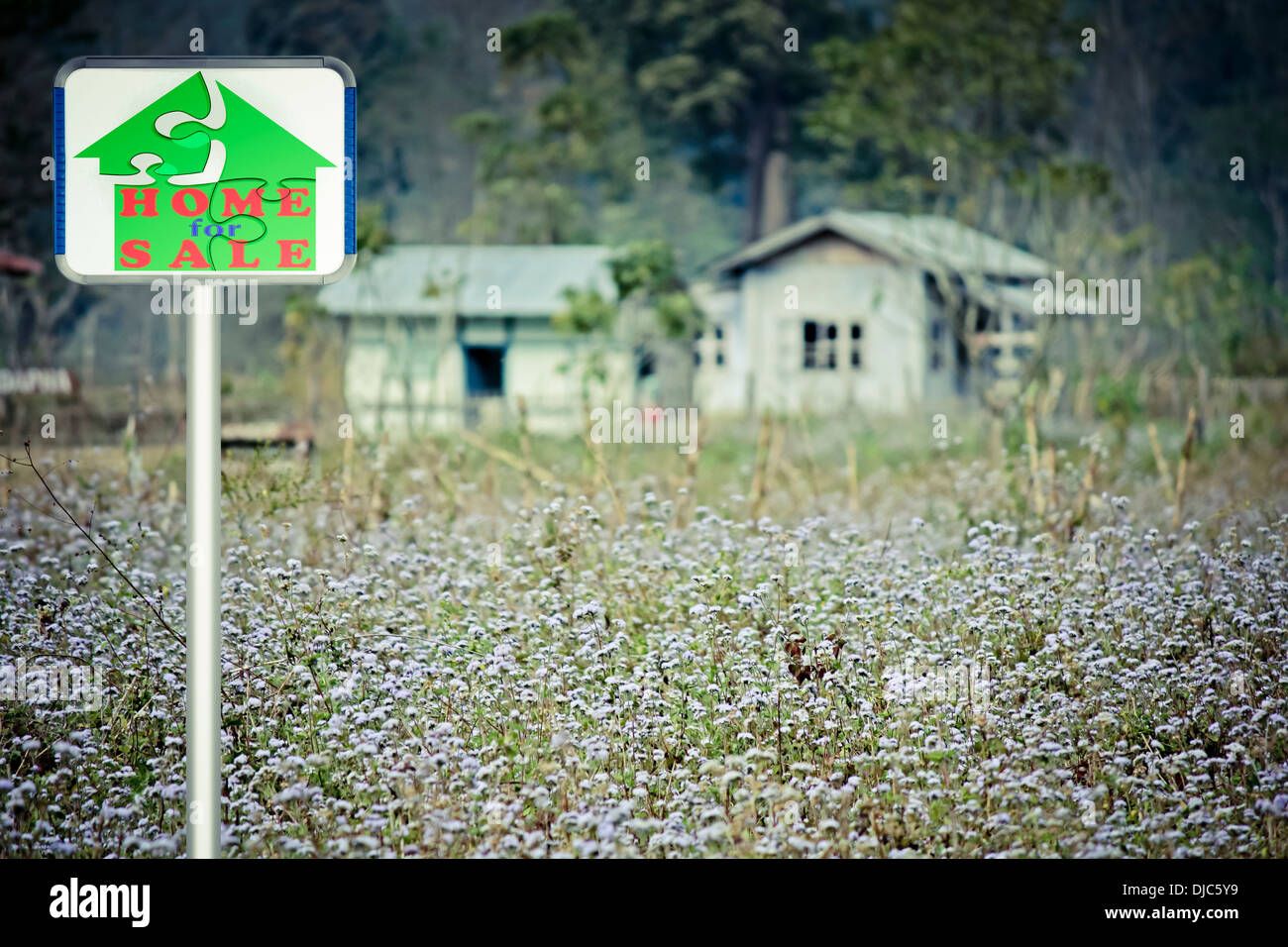 Home For Sale Signboard, Concept Stock Photo - Alamy