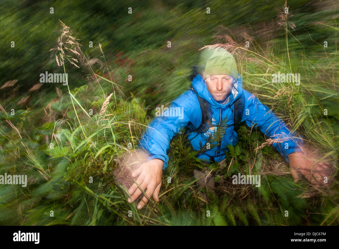 Bushwhacking hi-res stock photography and images - Alamy