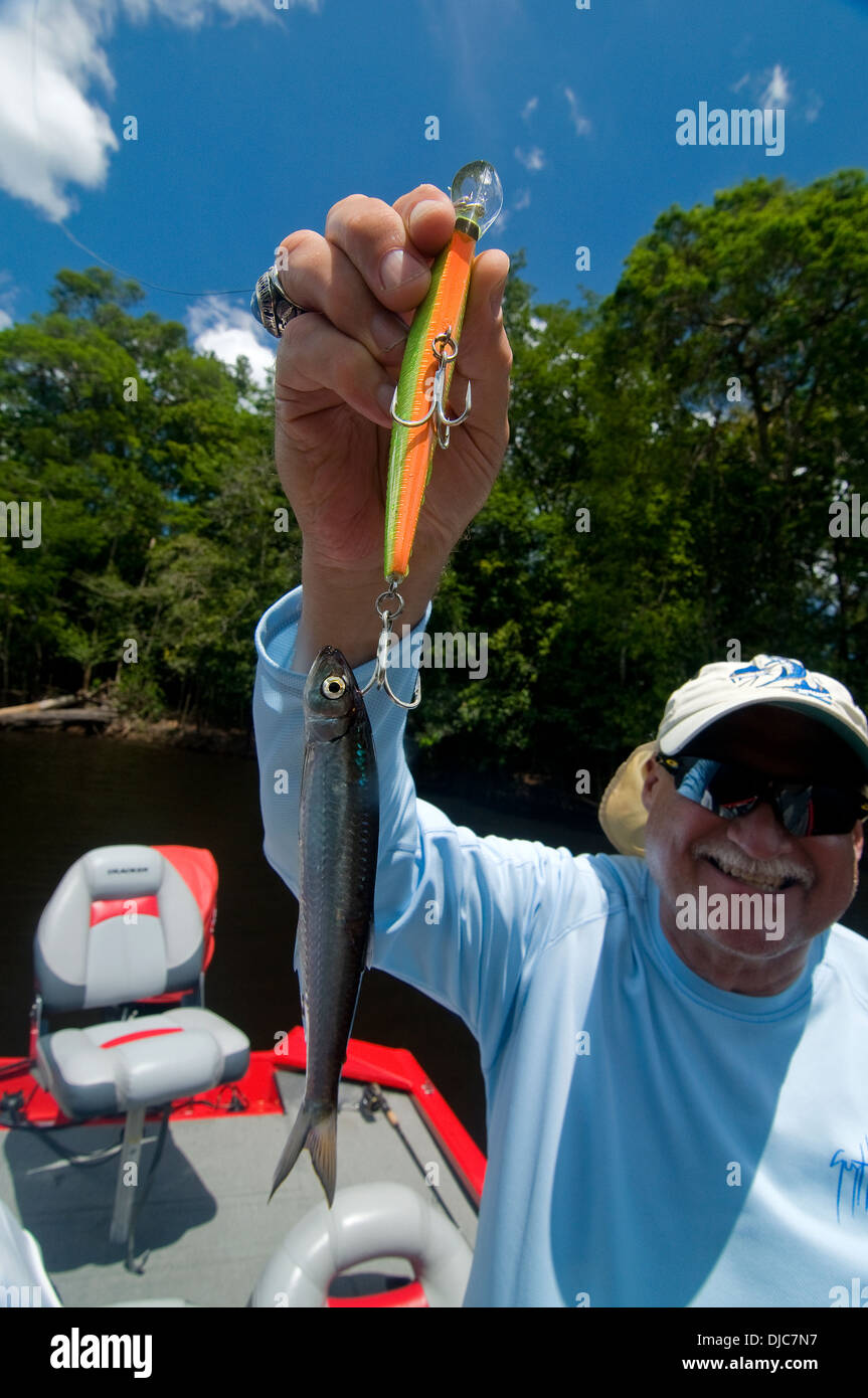 An angler laughs at a tiny "Piaba" baitfish that he accidentally caught ...
