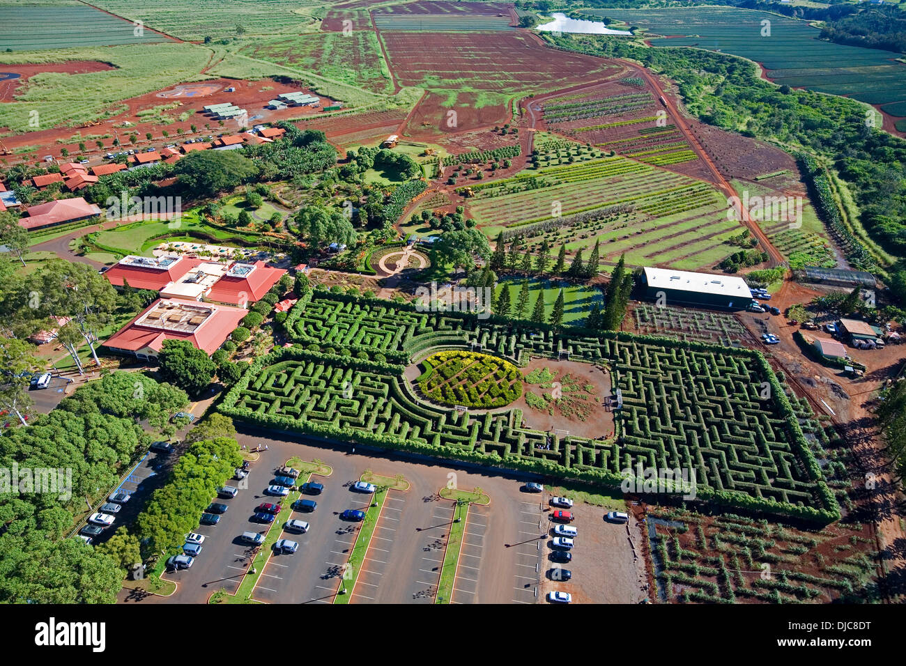 Dole Maze, Waipahu, Oahu, Hawaii Stock Photo - Alamy