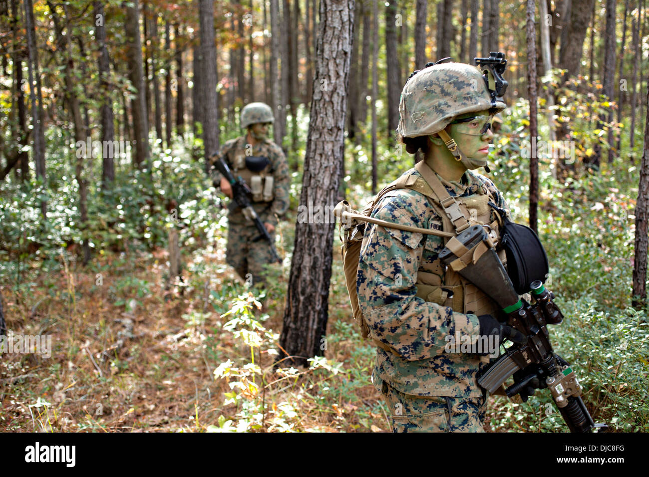 First female infantry hi-res stock photography and images - Alamy