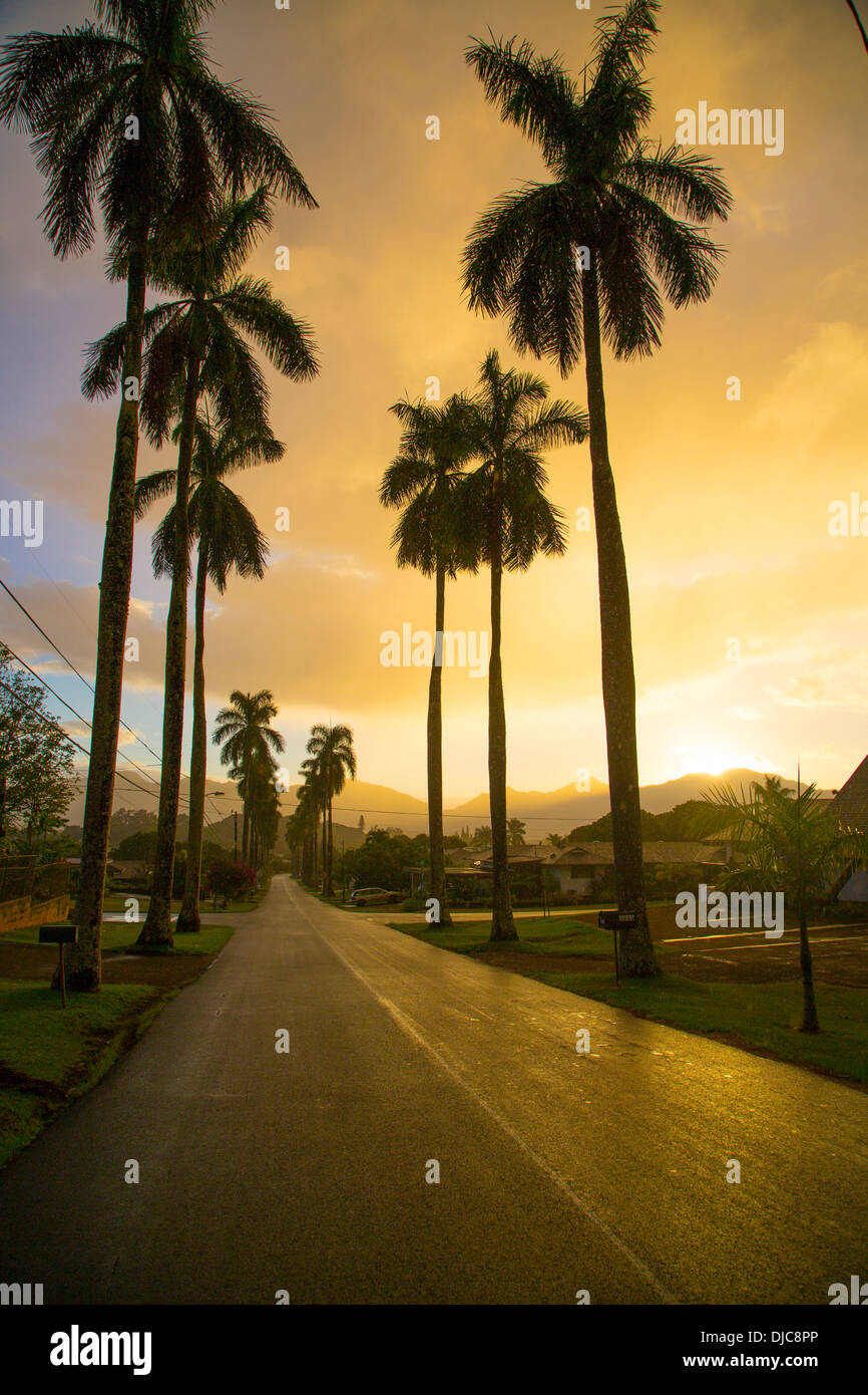 Waipahu hi-res stock photography and images - Alamy