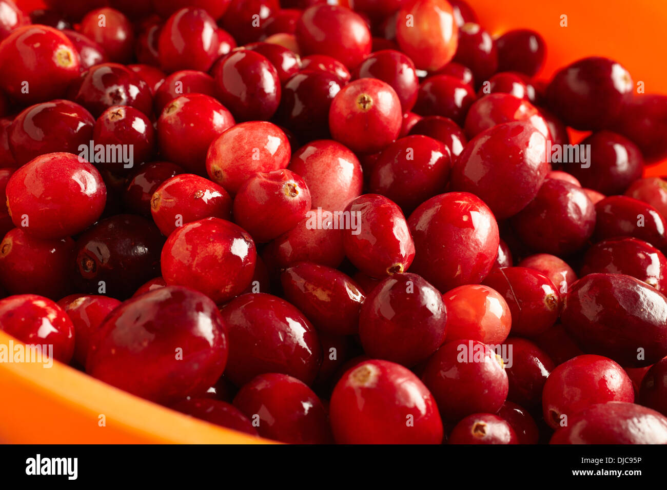 fresh, raw cranberries Stock Photo - Alamy
